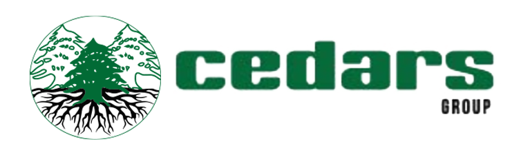 Our story, focus and A-team - Cápita Works